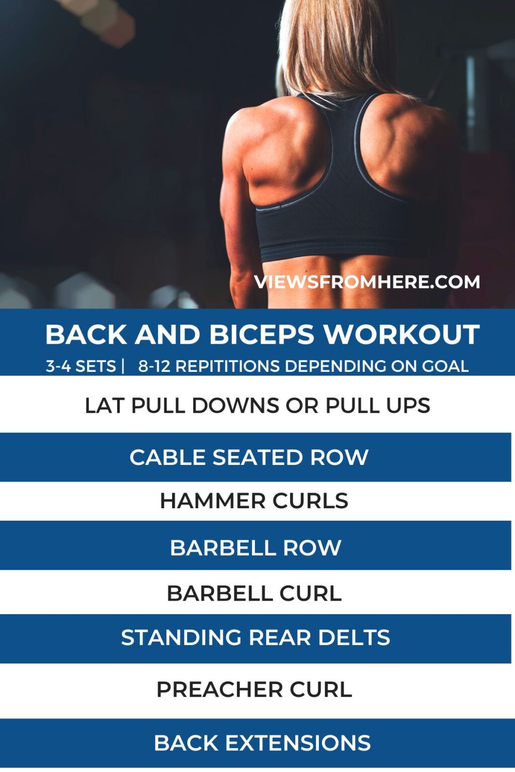 Killer back and bi workout • Views From Here