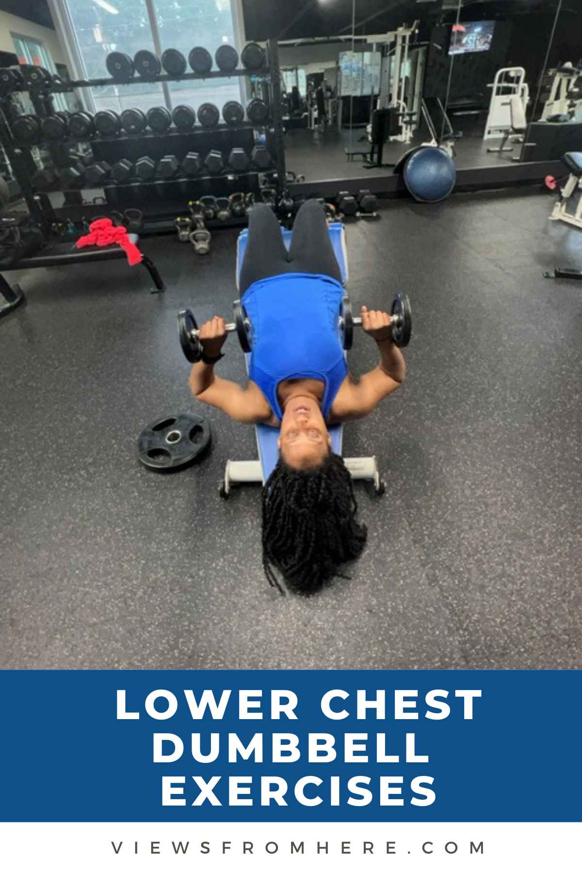 Lower chest dumbbell exercises • Views From Here