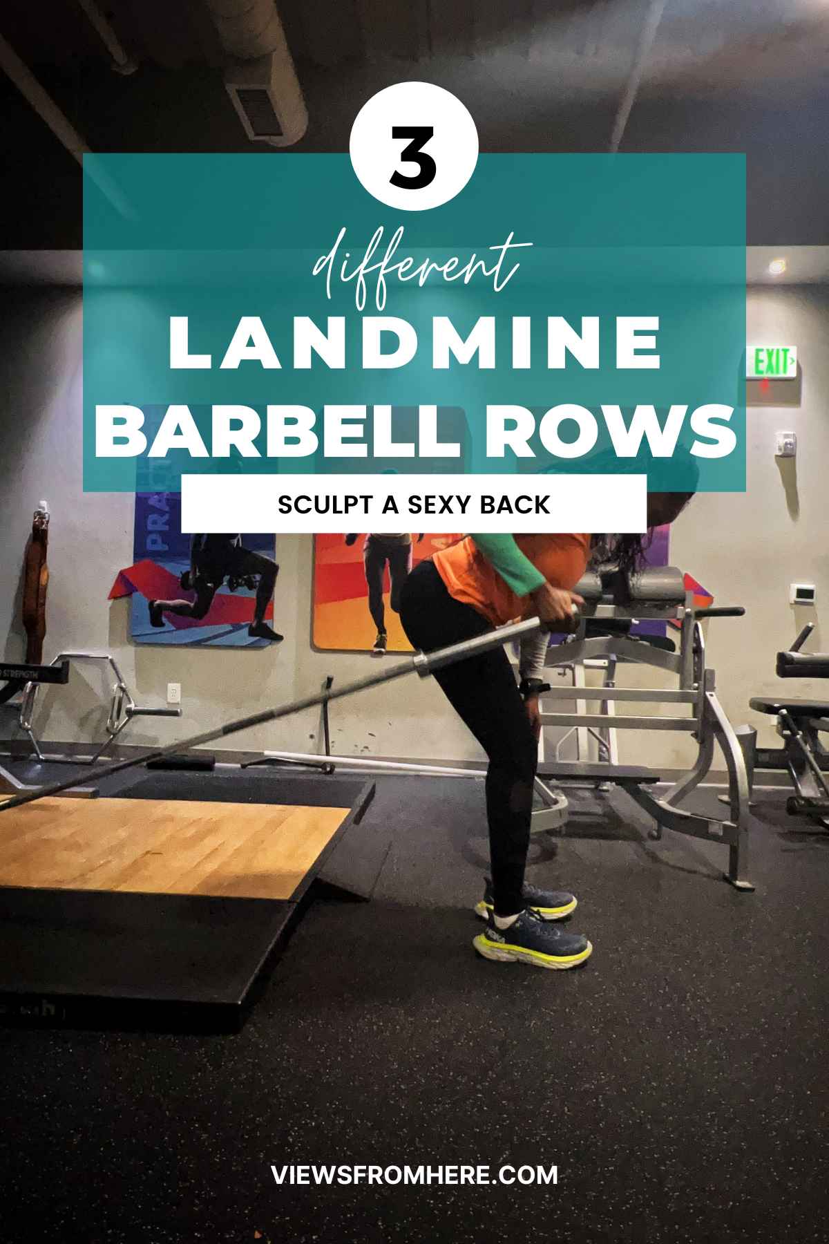 The landmine row: How to sculpt a strong back • Views From Here